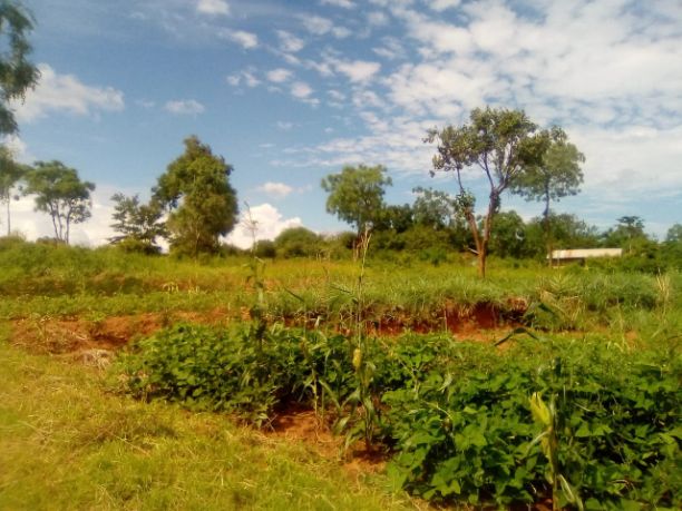 Land Properties | Your Nearby Real Estate Agent in Kenya and Nigeria ...